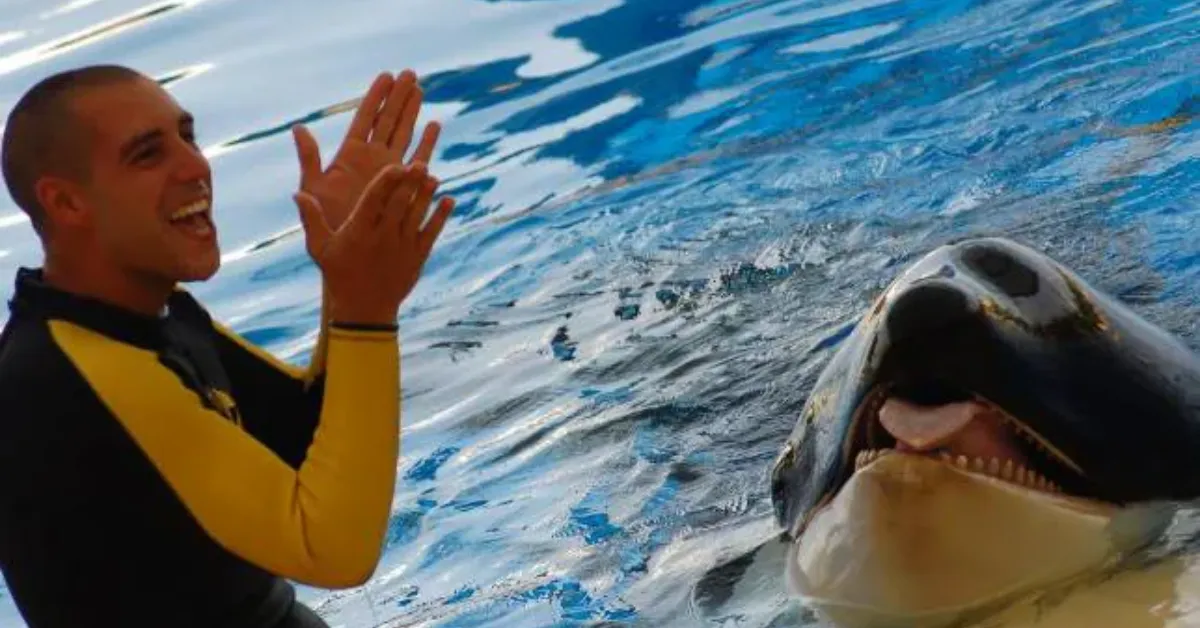 SeaWorld Orca Who Once Killed Trainer Dies After Spending Entire Life ...
