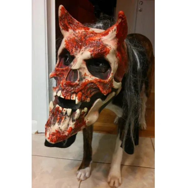 17+ People Who Pulled Pranks Just To Watch Us Squirm – Diply